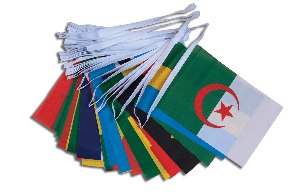 African Nations Bunting | Black History Month, Carnival & AFCON – Flag ...