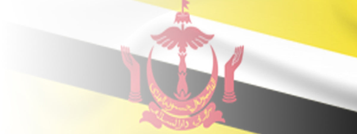 Middle East Nations Flags to Buy | 5ft x 3ft £5.40 | Flag and Bunting Store