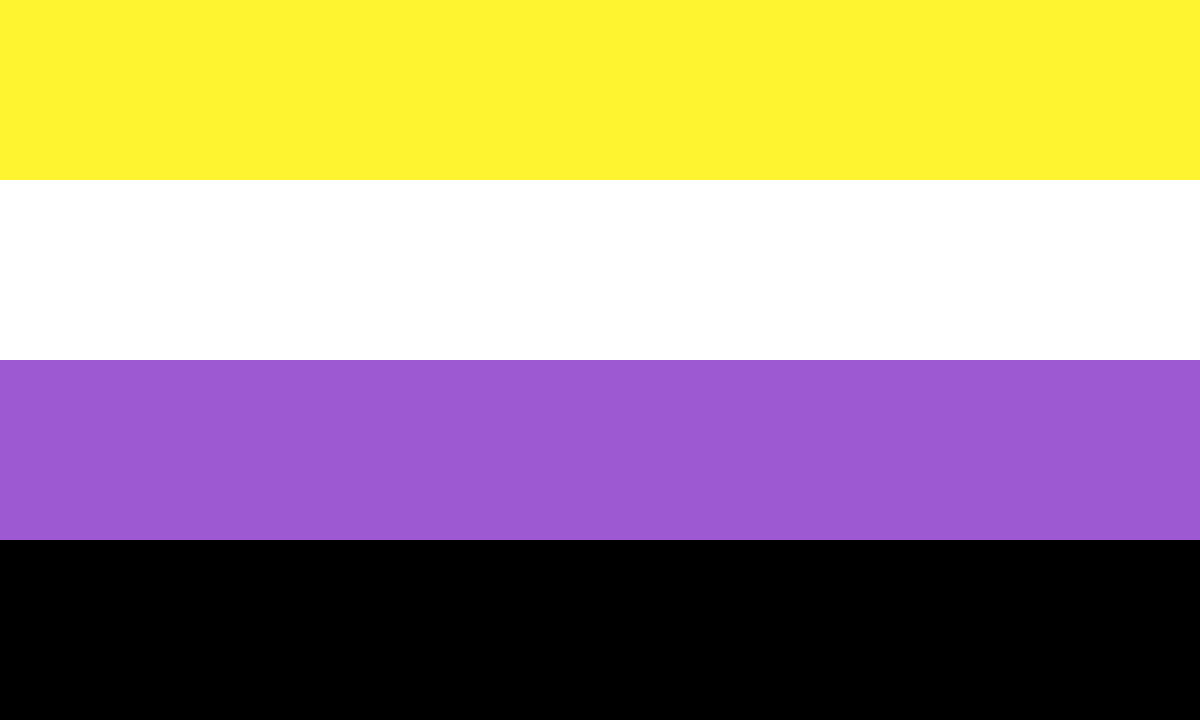 Buy Non Binary Flags | Pride Flags for sale at Flag and Bunting Store