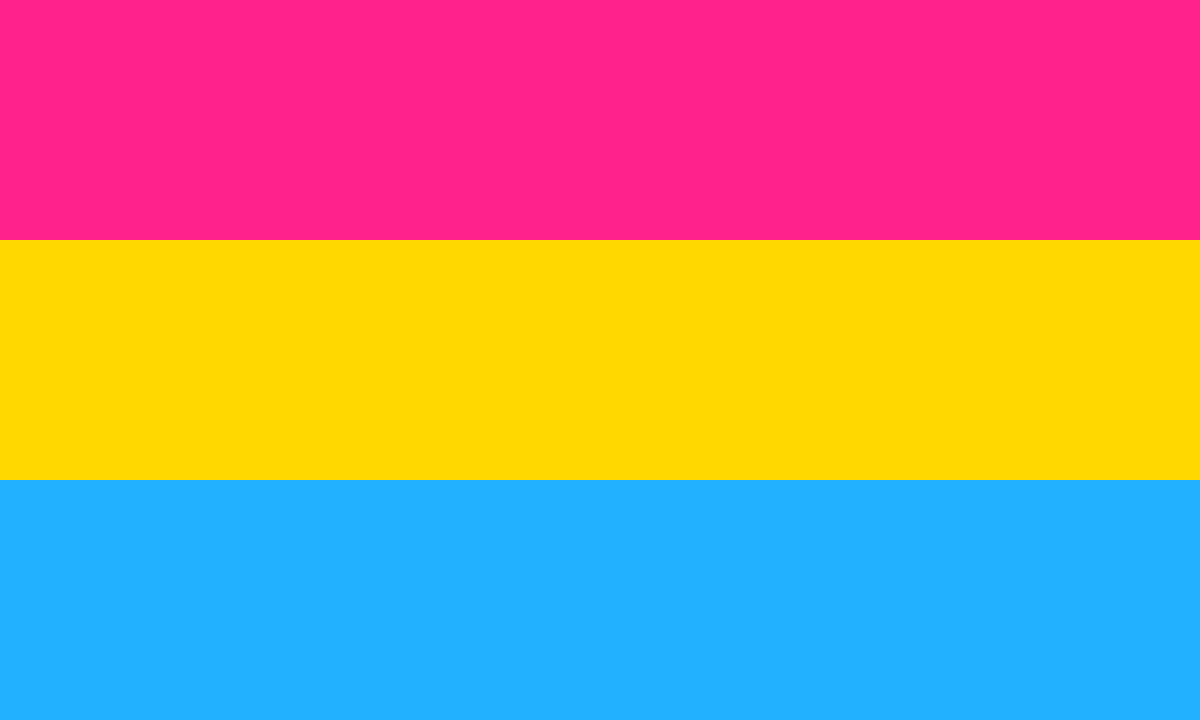 Buy Pansexual Flags | Pride Flags for sale at Flag and Bunting Store