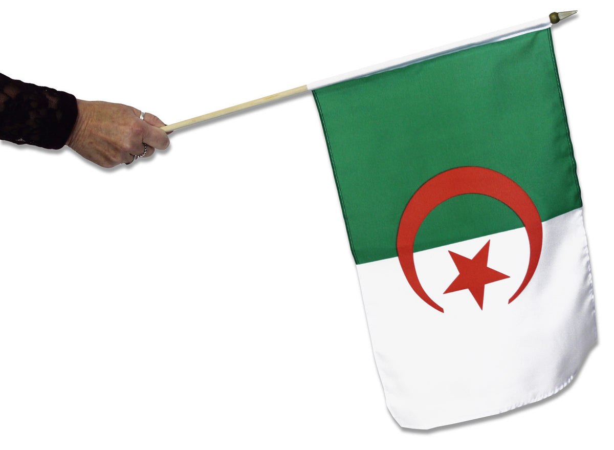 Algeria Waving Flag | Buy Algerian Hand Flags at Flag and Bunting Store