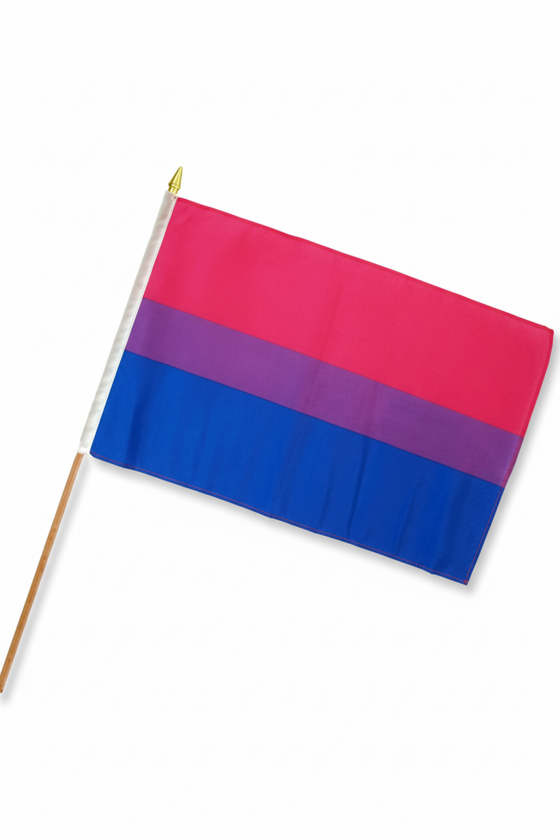 Bi-Pride Waving Flag | Buy Bi-Pride Hand Flags at Flag and Bunting Store