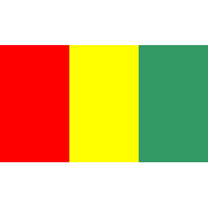 Buy Carlow Flags | Carlow County Flags for sale at Flag and Bunting Store