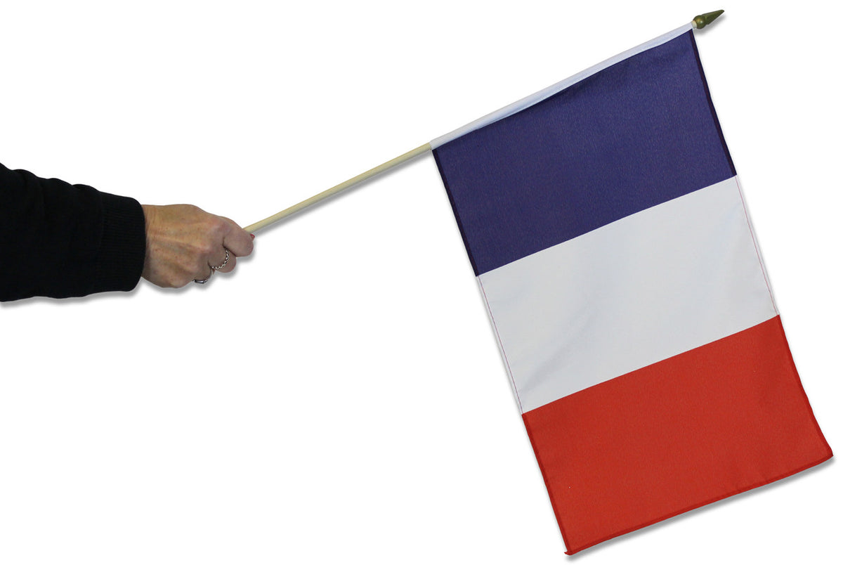 France Waving Flag | Buy French Hand Flags at Flag and Bunting Store